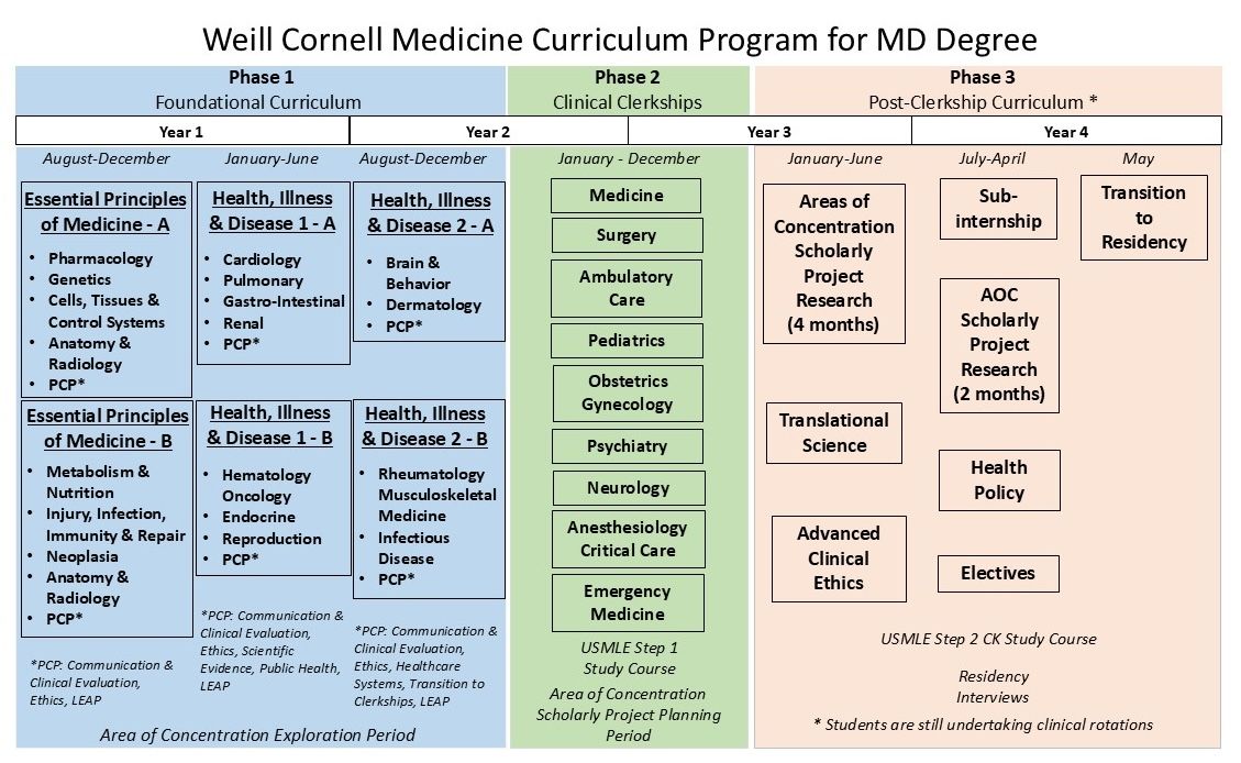 Curriculum at a Glance | Medical College Curriculum at a Glance | Medical College